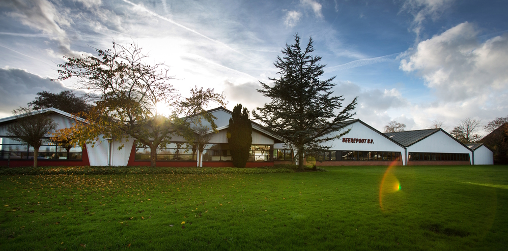 Beerepoot - geschiedenis